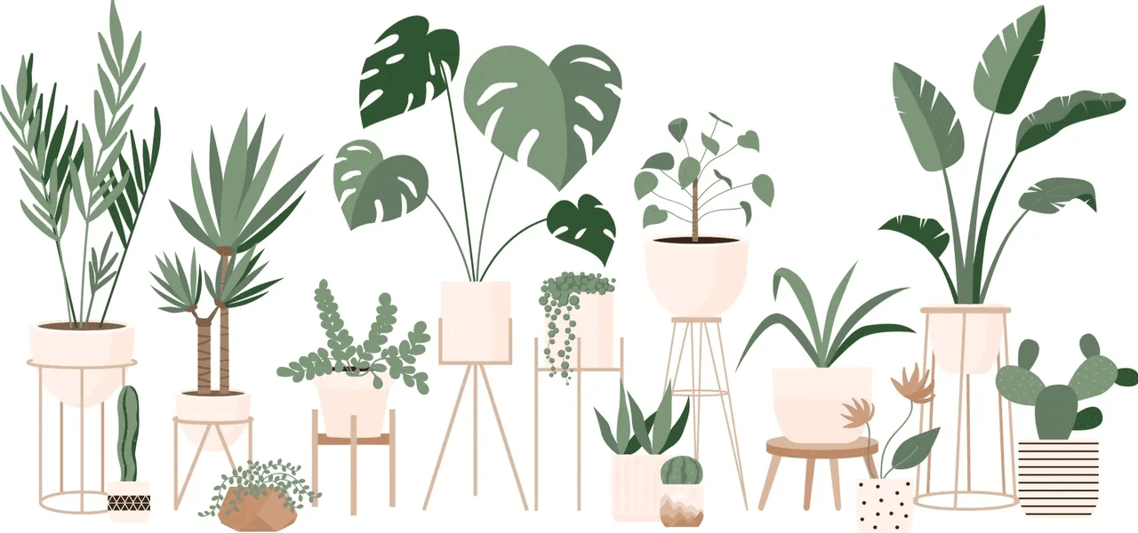 What Type Of Tree Are You? Find Out Your Tree Personality